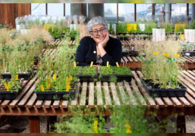 Bióloga Joanne Chory: Una solución al cambio climático estaba a simple ...