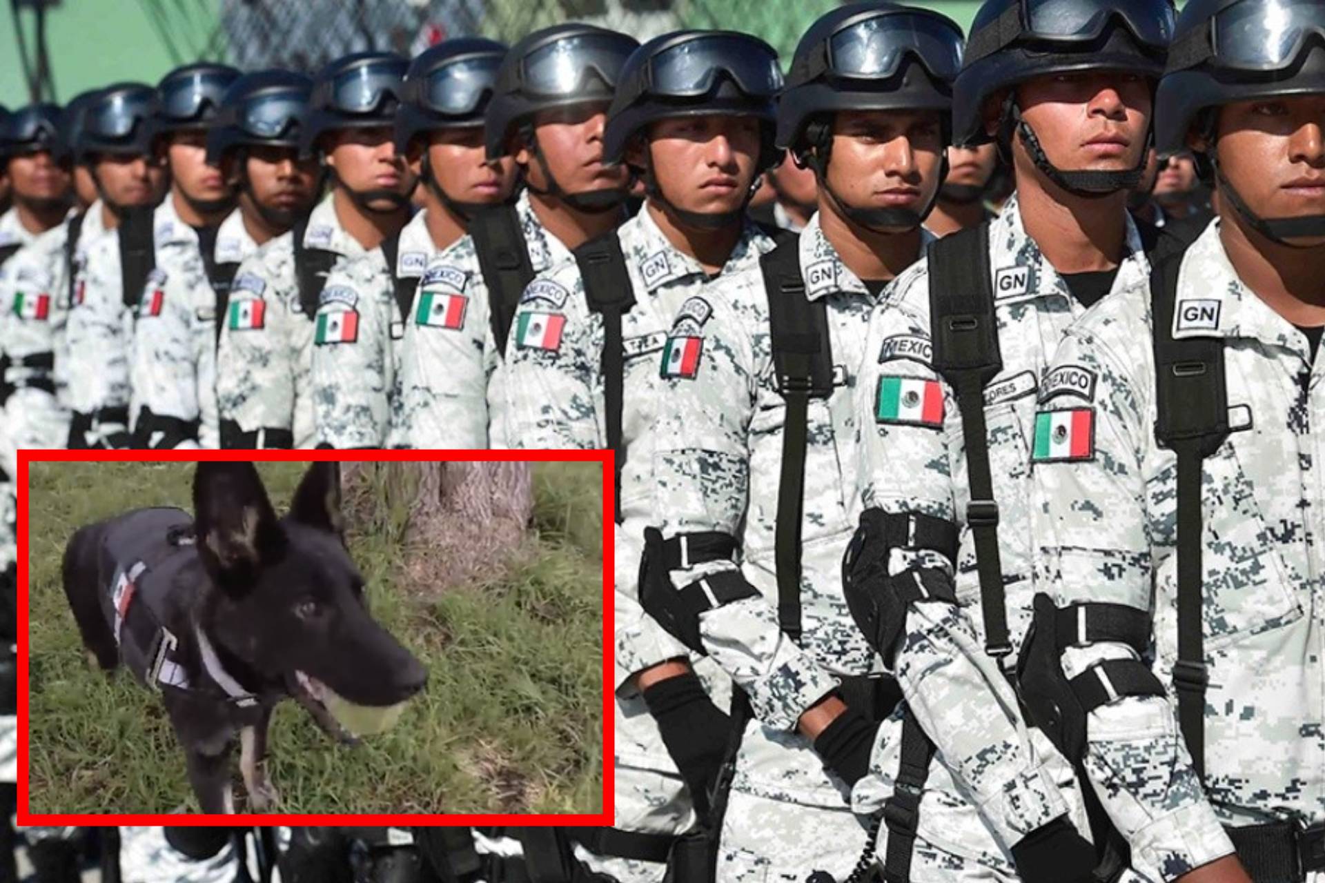 GU-NA nueva integrante de la Guardia Nacional | HidrocalidoDigital.com