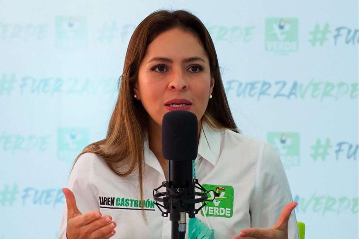 En 2024 el PVEM hará la diferencia, asegura su dirigente nacional ...