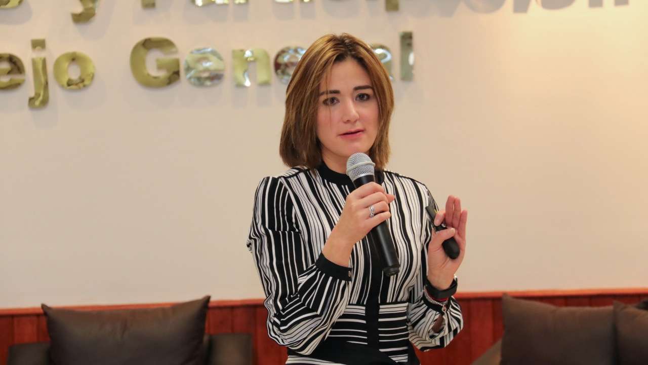 Consejera del INE, Dania Ravel, impugna Plan B de Reforma Electoral ...