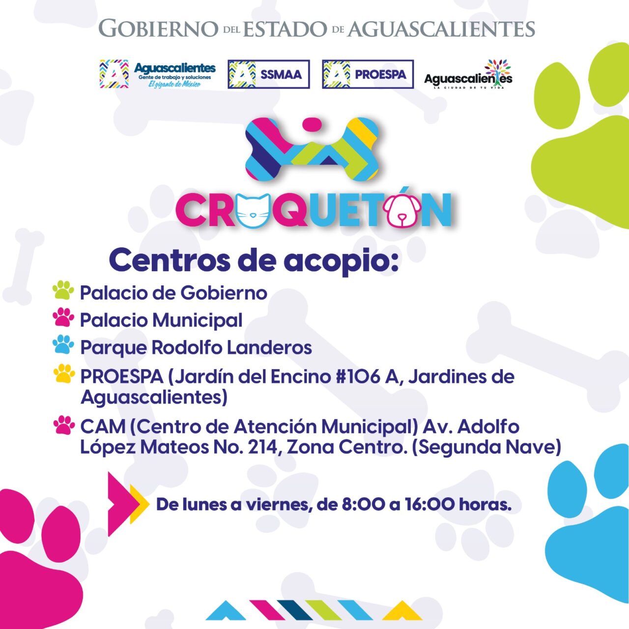 Primer Croquetón En Apoyo A Albergues Dedicados Al Rescate De Animales ...