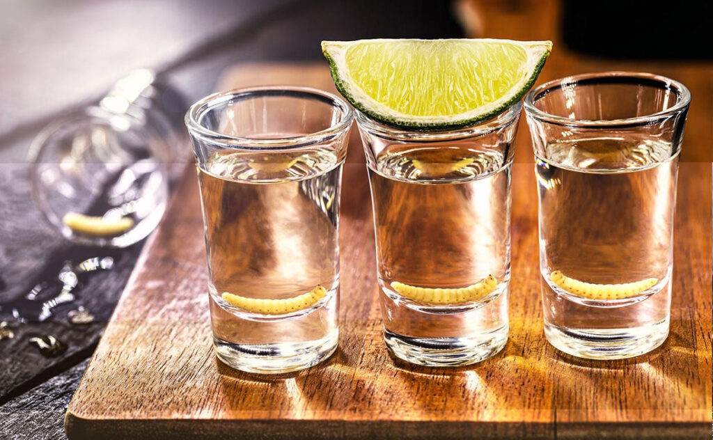 Adiós al mezcal de Aguascalientes | HidrocalidoDigital.com