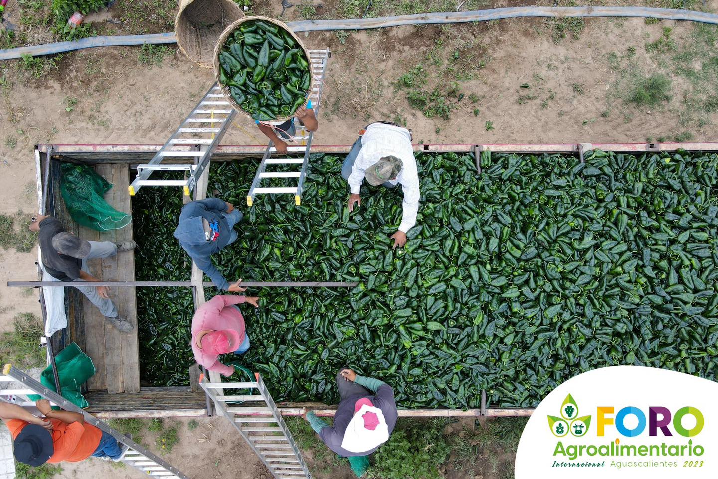 Anuncian Primer Foro Agroalimentario Internacional de Aguascalientes ...