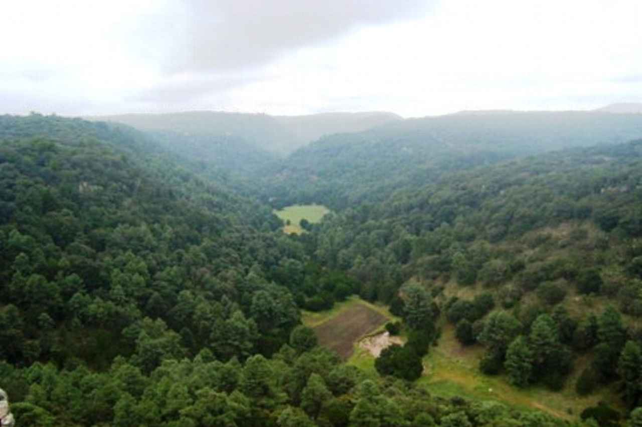 Gobierno del Estado habría cambiado uso de suelo de la Sierra Fría ...