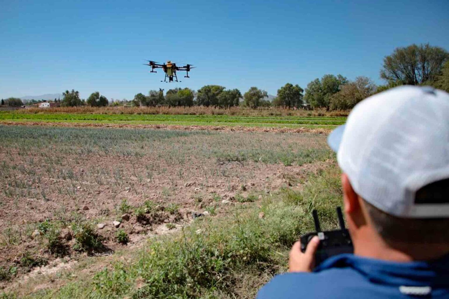 Utilizan Drones Para Fertilizar En Jesús María | Periodico Hidrocalido ...