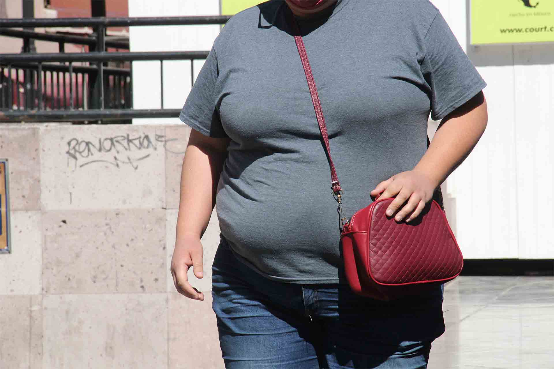 La mitad de los derechohabientes del IMSS padecen obesidad – Periodico ...