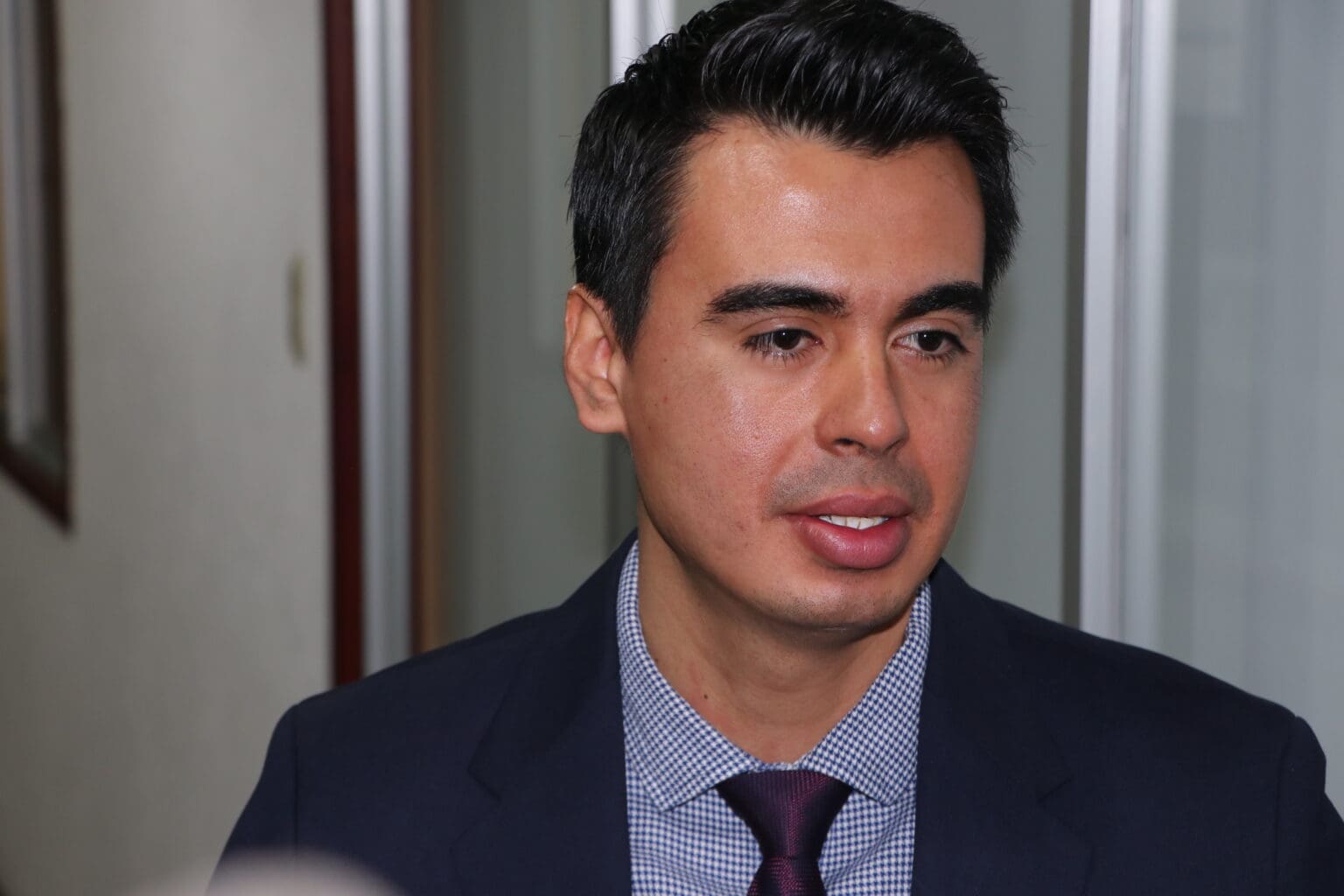 Se debe negar el registro a candidatos violentadores y deudores: IEE | Periodico Hidrocalido Digital