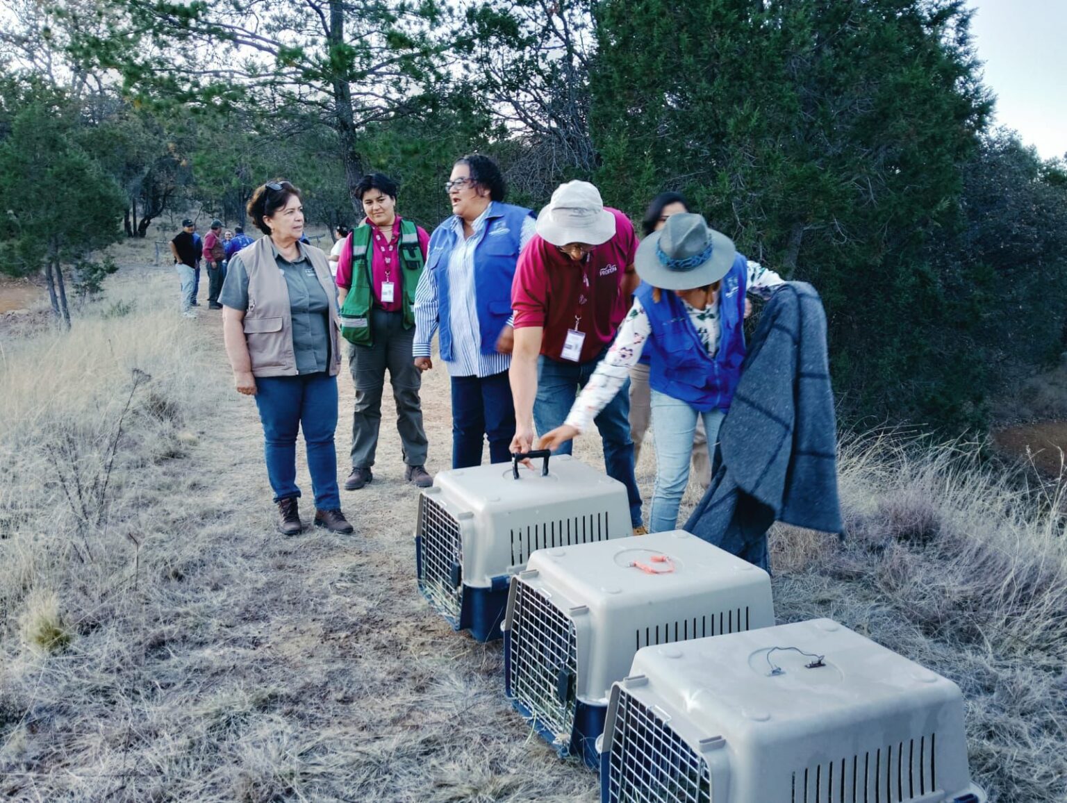 Liberan Fauna Silvestres En La Sierra Fría | Periodico Hidrocalido Digital